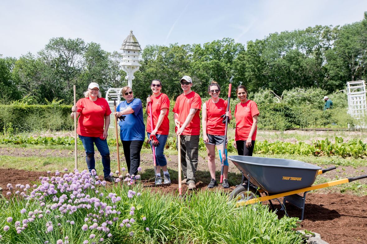 Brian House, Inc. / AVP, Inc.